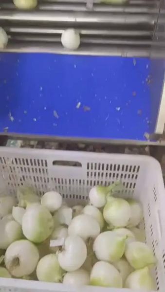 豆芽机怎么使用_家用豆芽机使用步骤-第3张图片-山城妙识 豆芽机怎么使用_家用豆芽机使用步骤-第3张图片-山城妙识