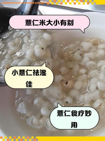 大薏仁米和小薏仁米的区别_功效对比哪个好-第1张图片-山城妙识