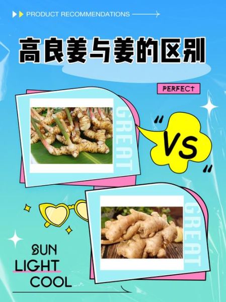 良姜调料长什么样_良姜和高良姜区别-第1张图片-山城妙识