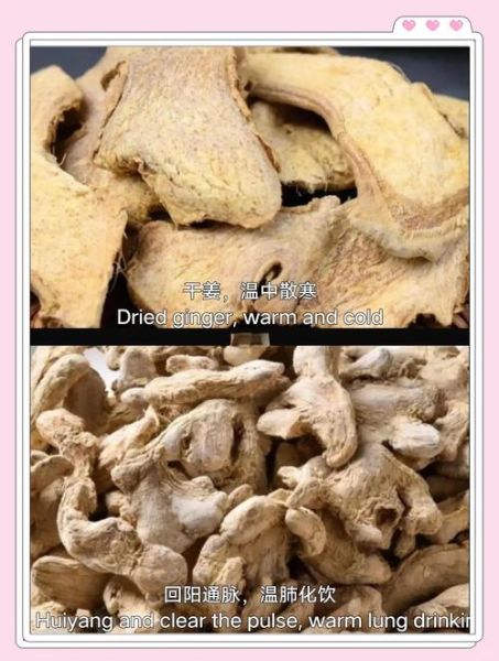 良姜调料长什么样_良姜和高良姜区别-第3张图片-山城妙识