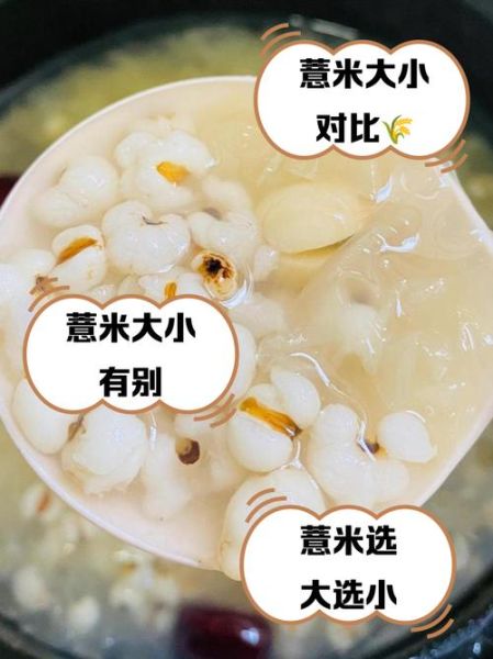 大薏仁米和小薏仁米的区别_功效对比哪个好-第3张图片-山城妙识