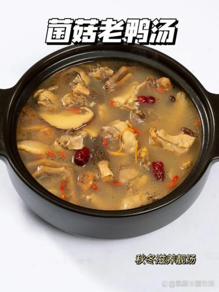 老鸭汤的做法大全家常做法_老鸭汤怎么炖好喝又营养-第2张图片-山城妙识 老鸭汤的做法大全家常做法_老鸭汤怎么炖好喝又营养-第2张图片-山城妙识