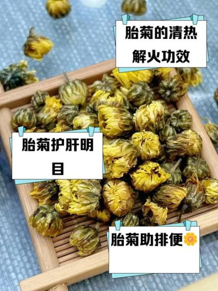 胎菊的功效与作用有哪些_胎菊的副作用是什么-第2张图片-山城妙识