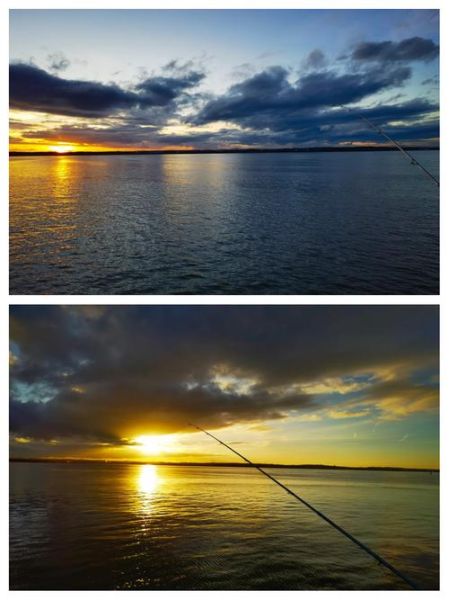 银鳕鱼用什么饵料钓_银鳕鱼钓法技巧-第3张图片-山城妙识