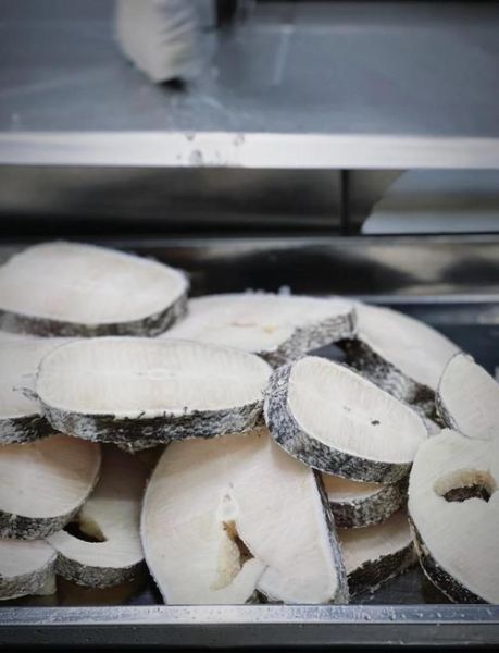 银鳕鱼用什么饵料钓_银鳕鱼钓法技巧-第1张图片-山城妙识