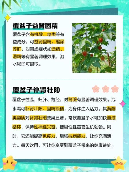 覆盆子中药功效与作用_覆盆子怎么泡水喝-第1张图片-山城妙识