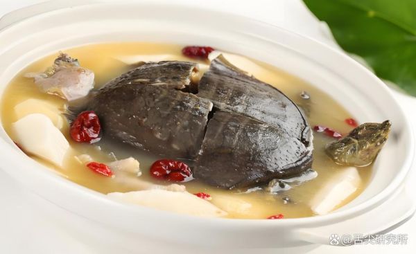 王八怎么炖汤_王八做法大全-第2张图片-山城妙识