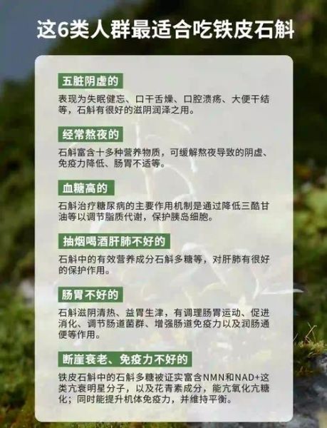 铁皮石斛适合什么人吃_铁皮石斛适合哪些人群-第1张图片-山城妙识