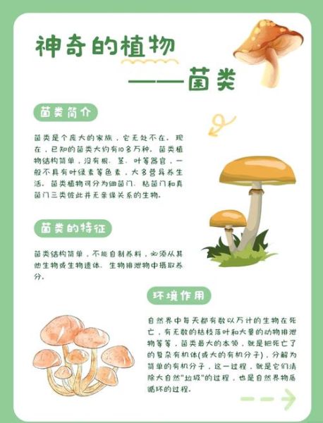 菌菇怎么种植_菌菇种植方法步骤-第2张图片-山城妙识