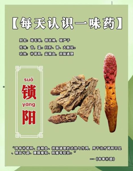 锁阳怎么吃效果最好_锁阳泡水还是泡酒-第2张图片-山城妙识