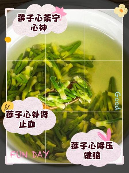 莲子心泡水喝的禁忌_哪些人不能喝-第1张图片-山城妙识