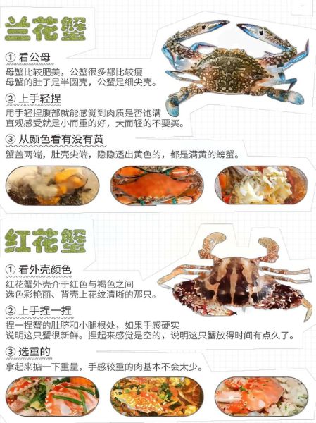 大闸蟹什么时候最肥_如何挑选成熟蟹-第2张图片-山城妙识