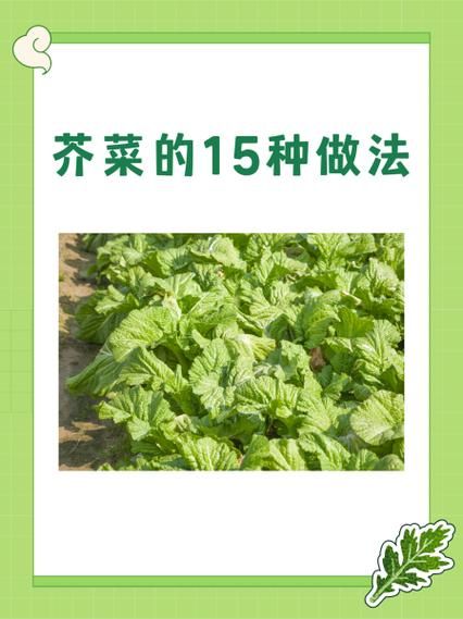 芥菜六种人不宜吃_芥菜什么人不能吃-第2张图片-山城妙识