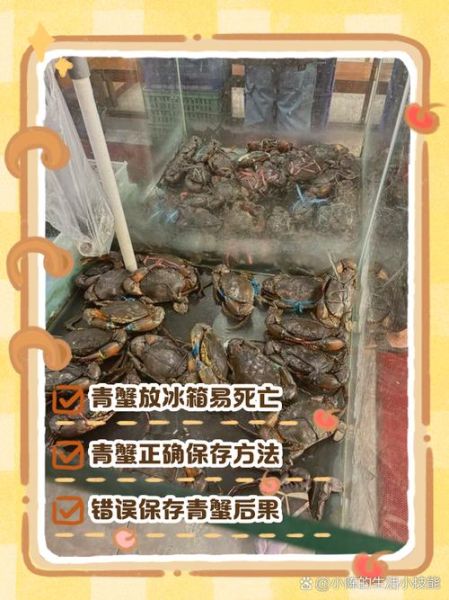 青蟹死了怎么处理_青蟹死了还能吃吗-第2张图片-山城妙识 青蟹死了怎么处理_青蟹死了还能吃吗-第2张图片-山城妙识
