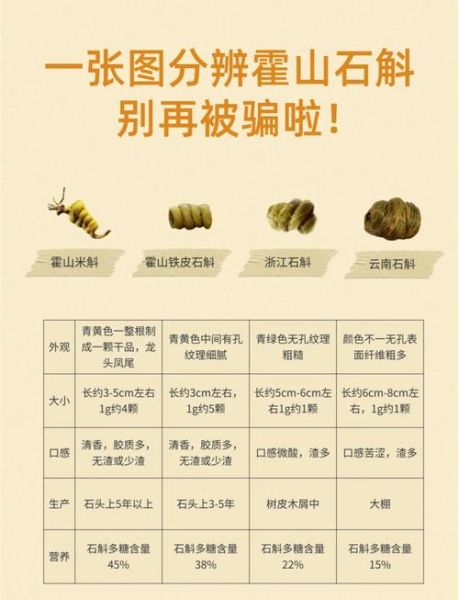 野生铁皮石斛图片大全_如何辨别真假-第1张图片-山城妙识 野生铁皮石斛图片大全_如何辨别真假-第1张图片-山城妙识