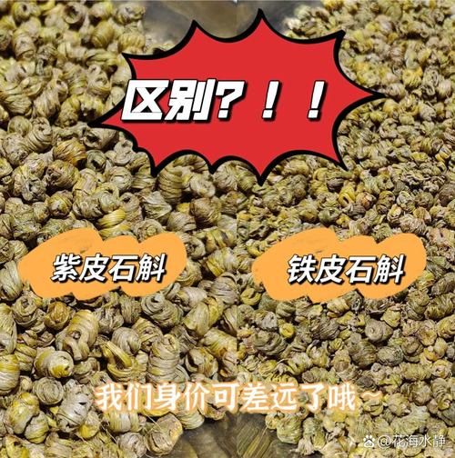 野生铁皮石斛图片大全_如何辨别真假-第3张图片-山城妙识 野生铁皮石斛图片大全_如何辨别真假-第3张图片-山城妙识