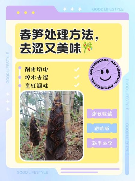 鲜笋怎么处理_鲜笋去涩味最快方法-第1张图片-山城妙识 鲜笋怎么处理_鲜笋去涩味最快方法-第1张图片-山城妙识