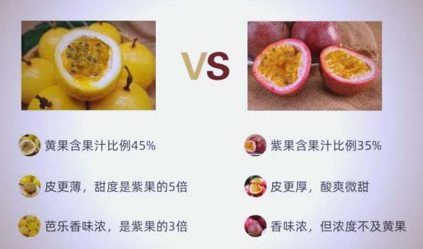 黄金百香果怎么吃_黄金百香果的正确吃法-第3张图片-山城妙识