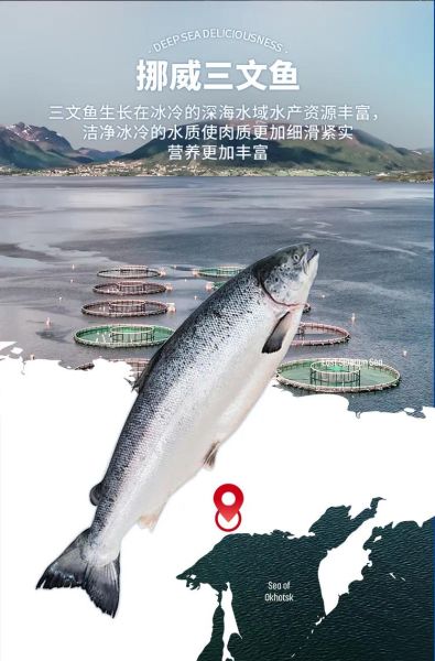 三文鱼多少钱一斤_2024最新市场价-第1张图片-山城妙识 三文鱼多少钱一斤_2024最新市场价-第1张图片-山城妙识