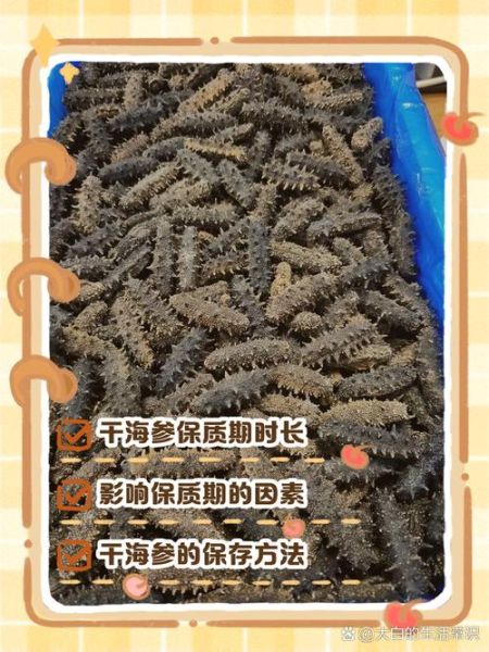 干海参放了5年还能吃吗_干海参保质期多久-第1张图片-山城妙识 干海参放了5年还能吃吗_干海参保质期多久-第1张图片-山城妙识