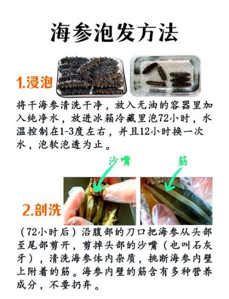 野生海参怎么烧法_野生海参怎么泡发-第2张图片-山城妙识