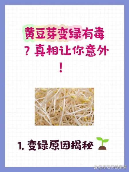 黄豆芽变绿了能吃吗_黄豆芽变绿有毒吗-第1张图片-山城妙识