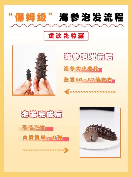 野生海参怎么烧法_野生海参怎么泡发-第1张图片-山城妙识