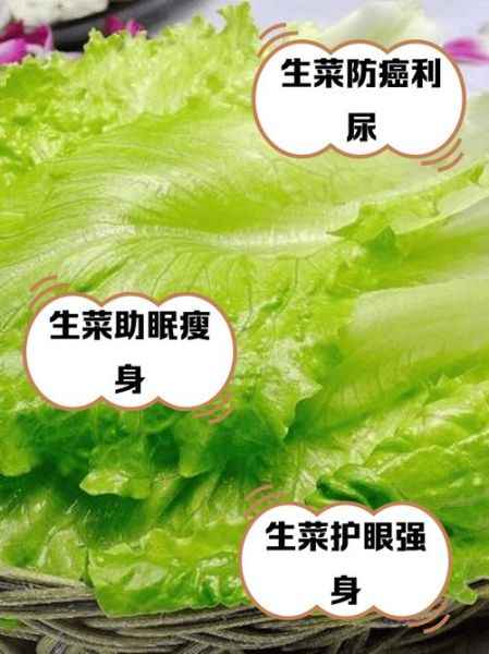 生菜生吃怎么处理_生菜生吃前要洗多久-第2张图片-山城妙识