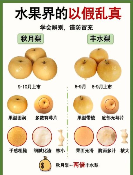 丰水梨的功效与作用_丰水梨能降火吗-第1张图片-山城妙识 丰水梨的功效与作用_丰水梨能降火吗-第1张图片-山城妙识