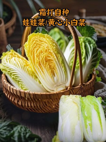 霜降吃什么蔬菜_霜降养生蔬菜推荐-第3张图片-山城妙识