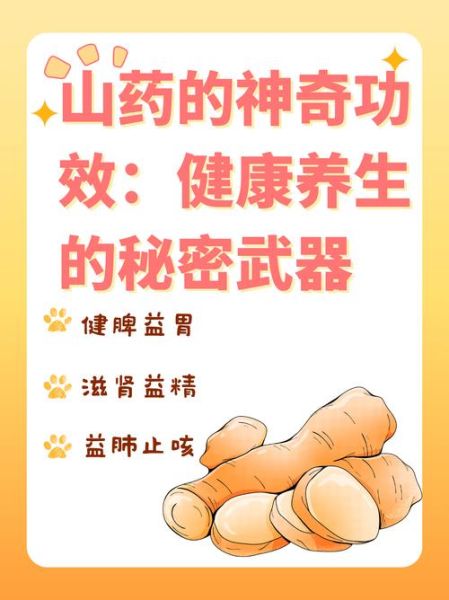 怀山药粉的功效与作用_怀山药粉怎么吃好-第2张图片-山城妙识