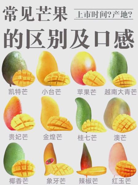 吃一个芒果相当于几碗饭_热量对比真相-第3张图片-山城妙识