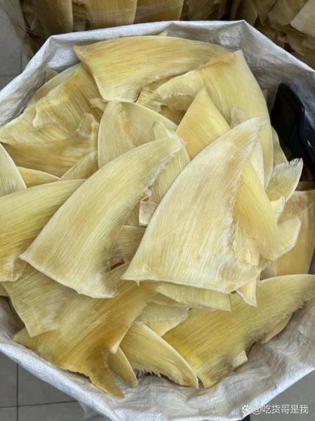 鱼翅的种类有哪些_鱼翅名称图片大全-第1张图片-山城妙识