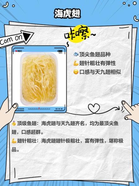 鱼翅的种类有哪些_鱼翅名称图片大全-第2张图片-山城妙识