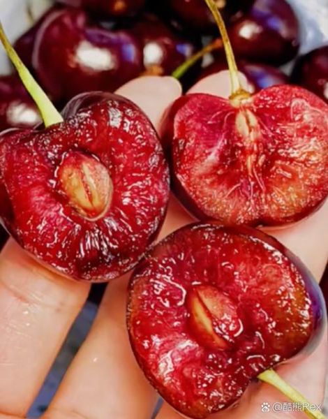 车厘子100多一斤贵吗_值不值得买-第2张图片-山城妙识