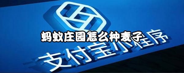 蚂蚁庄园怎么种麦子_蚂蚁庄园麦子种植技巧-第1张图片-山城妙识