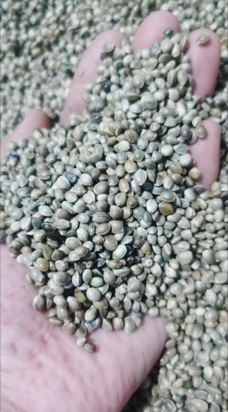 麻腐是什么东西做的_麻腐原料有哪些-第2张图片-山城妙识 麻腐是什么东西做的_麻腐原料有哪些-第2张图片-山城妙识