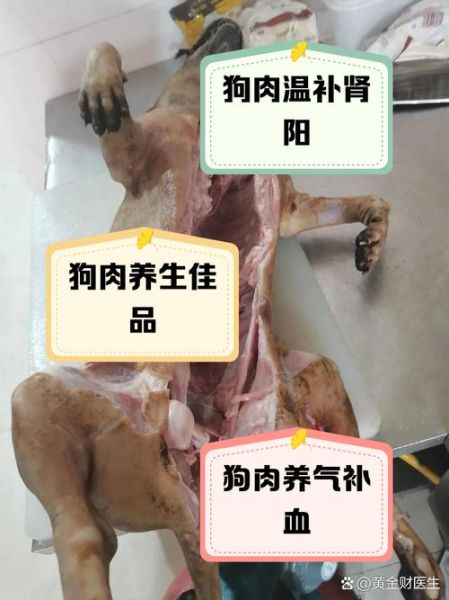 男人吃了狗肉晚上会怎么样_吃狗肉后身体反应-第1张图片-山城妙识 男人吃了狗肉晚上会怎么样_吃狗肉后身体反应-第1张图片-山城妙识
