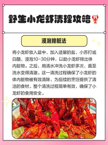 小龙虾怎么处理干净_小龙虾清洗步骤-第2张图片-山城妙识 小龙虾怎么处理干净_小龙虾清洗步骤-第2张图片-山城妙识