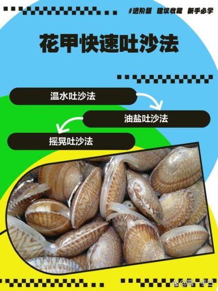 花甲怎么清洗_花甲吐沙最快的方法-第1张图片-山城妙识