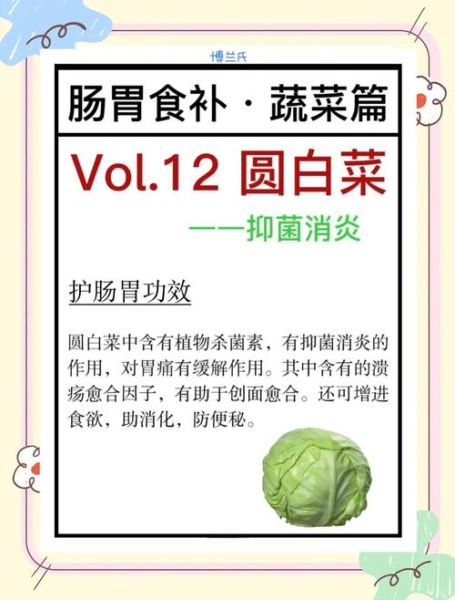 包菜的热量是多少_减肥能吃包菜吗-第2张图片-山城妙识