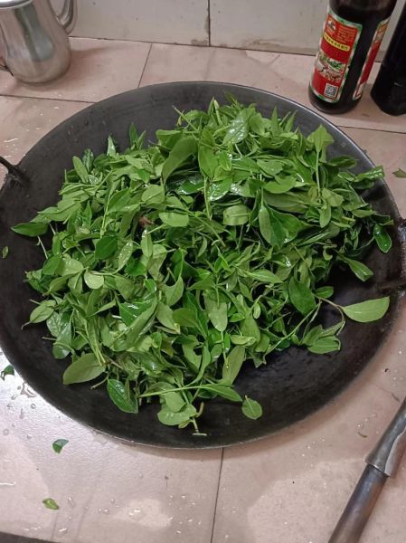 恭城油茶怎么做_恭城油茶功效与作用-第3张图片-山城妙识