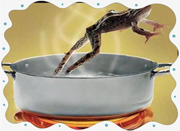 温水煮青蛙是真的吗_青蛙会不会被慢慢煮死-第2张图片-山城妙识 温水煮青蛙是真的吗_青蛙会不会被慢慢煮死-第2张图片-山城妙识