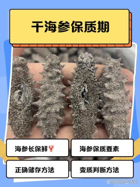 干海参怎么存放最好_干海参能放多久-第2张图片-山城妙识