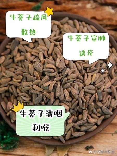 炒牛蒡子的功效与作用_怎么吃效果最好-第1张图片-山城妙识