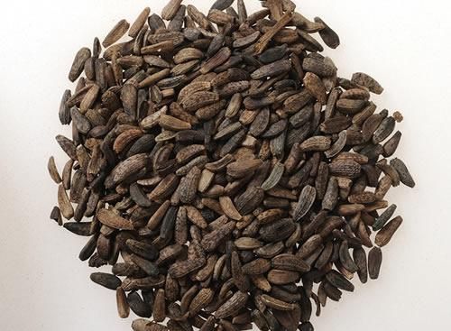 炒牛蒡子的功效与作用_怎么吃效果最好-第3张图片-山城妙识