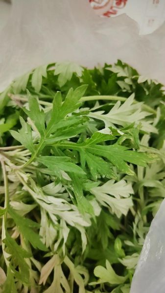 艾草青团怎么做_青团子用什么艾草-第2张图片-山城妙识 艾草青团怎么做_青团子用什么艾草-第2张图片-山城妙识