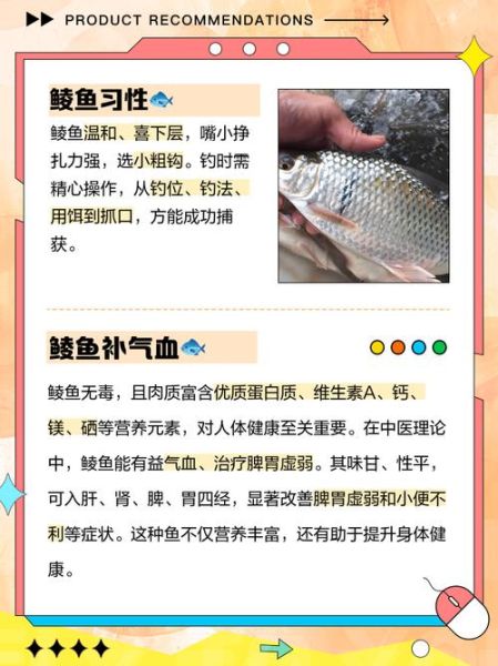 鲮鱼的功效与作用_鲮鱼的禁忌人群-第1张图片-山城妙识