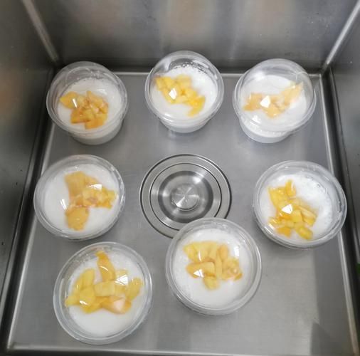 牛奶布丁怎么做_牛奶布丁最简单做法-第2张图片-山城妙识