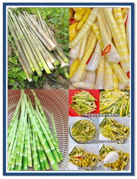 泡竹笋的做法大全_家常窍门-第2张图片-山城妙识 泡竹笋的做法大全_家常窍门-第2张图片-山城妙识